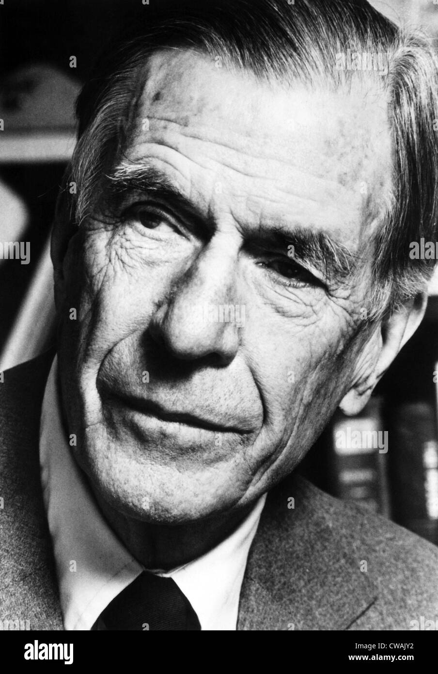 Terry Lewis Wife Indira Singh