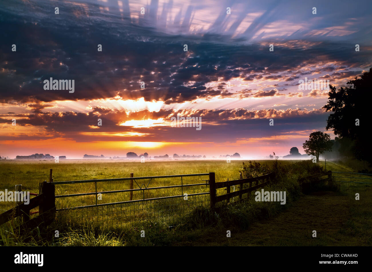 colorful sunrise over rural pasture in Groningen Stock Photo - Alamy