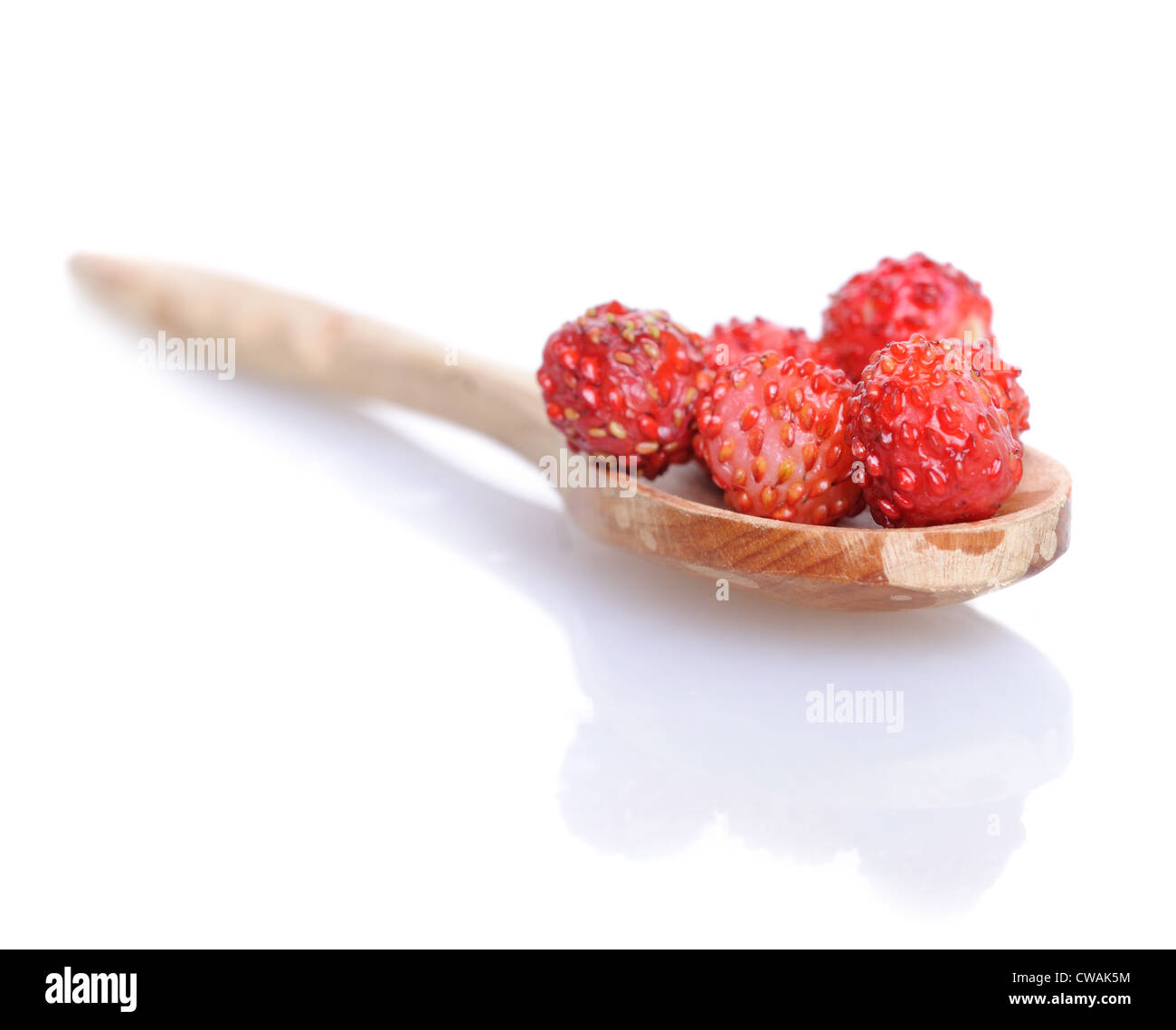 Spring in shadow Cut Out Stock Images & Pictures - Alamy