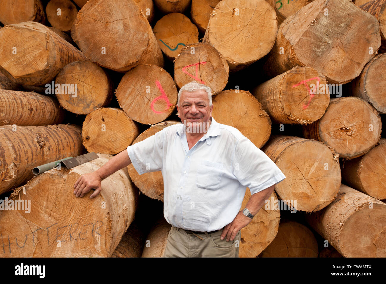 Man by pile of logs Stock Photo - Alamy