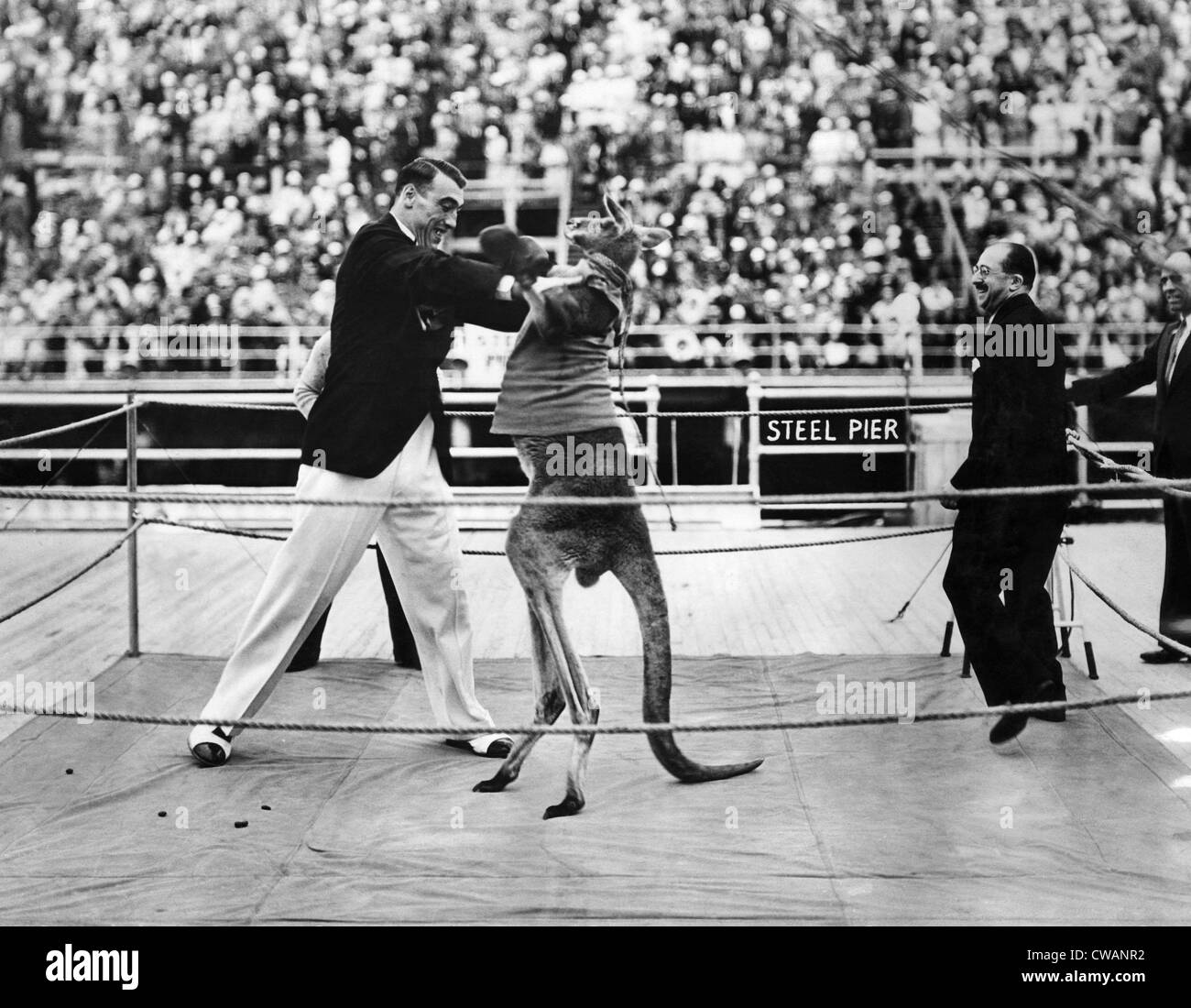 Primo carnera Black and White Stock Photos & Images - Alamy
