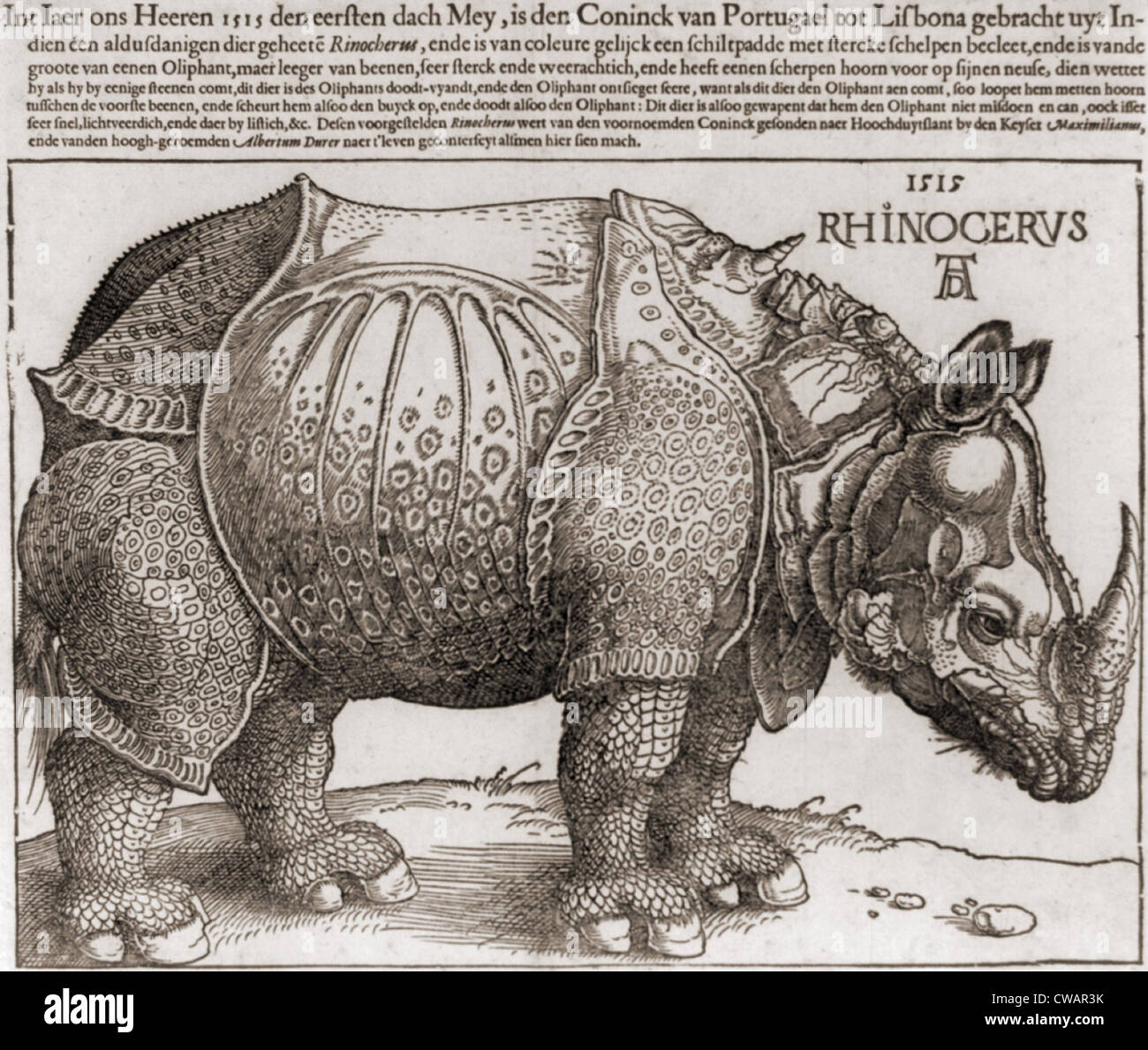 THE RHINOCEROS, Woodcut by Albrecht Durer, (1471-1528), drawn from ...