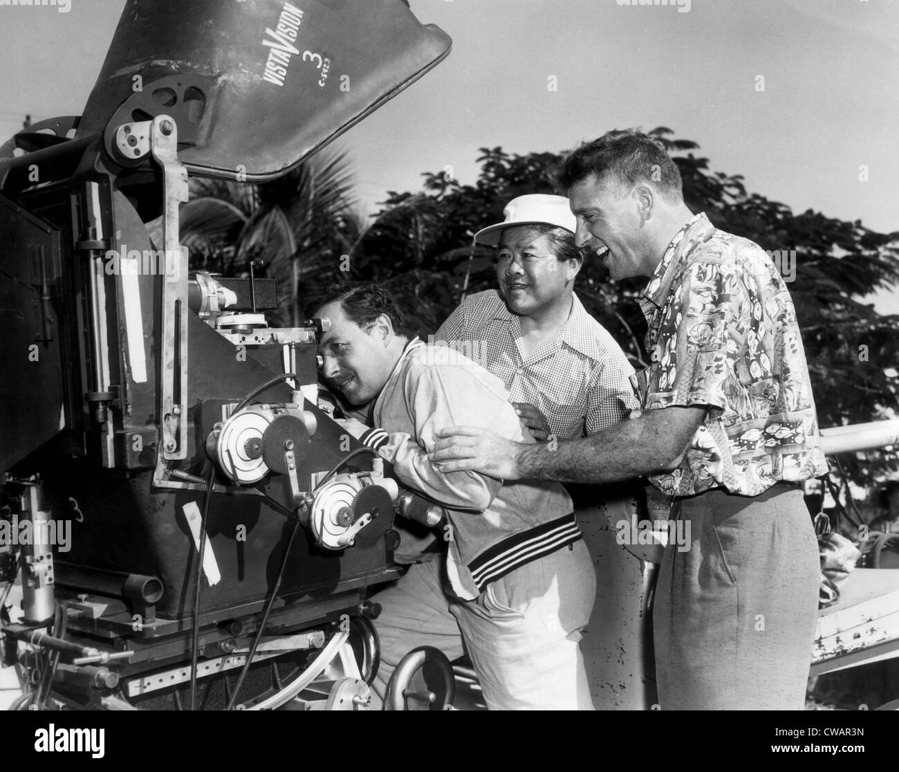 THE ROSE TATTOO, Screenwriter Tennessee Williams, cinematographer James ...