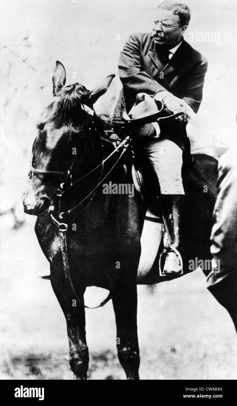 Theodore Roosevelt, (1858-1919), U.S. President 1901-1909, c. 1900's ...