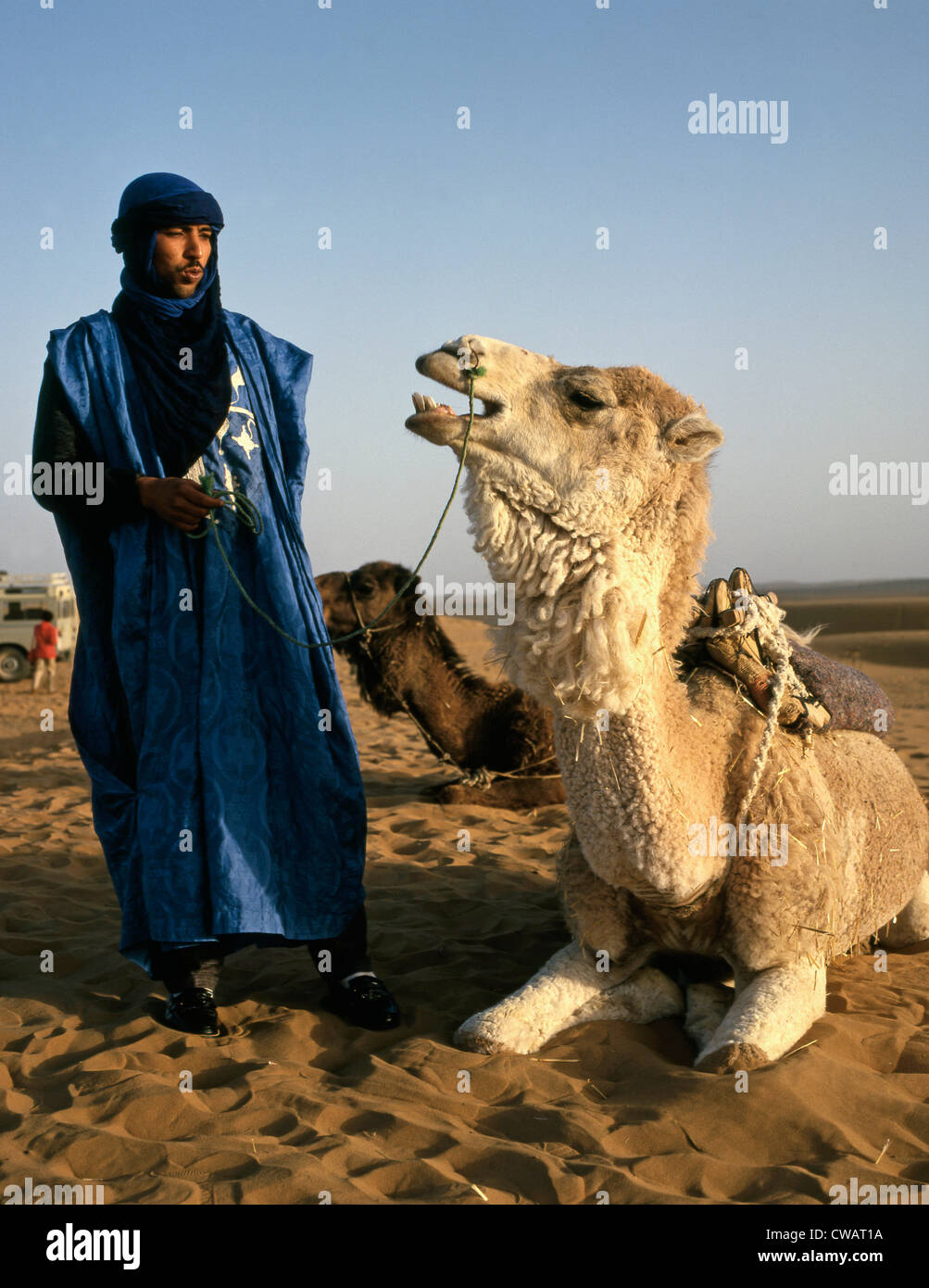 Morocco Sahara desert man camel tuareg nomad Stock Photo - Alamy