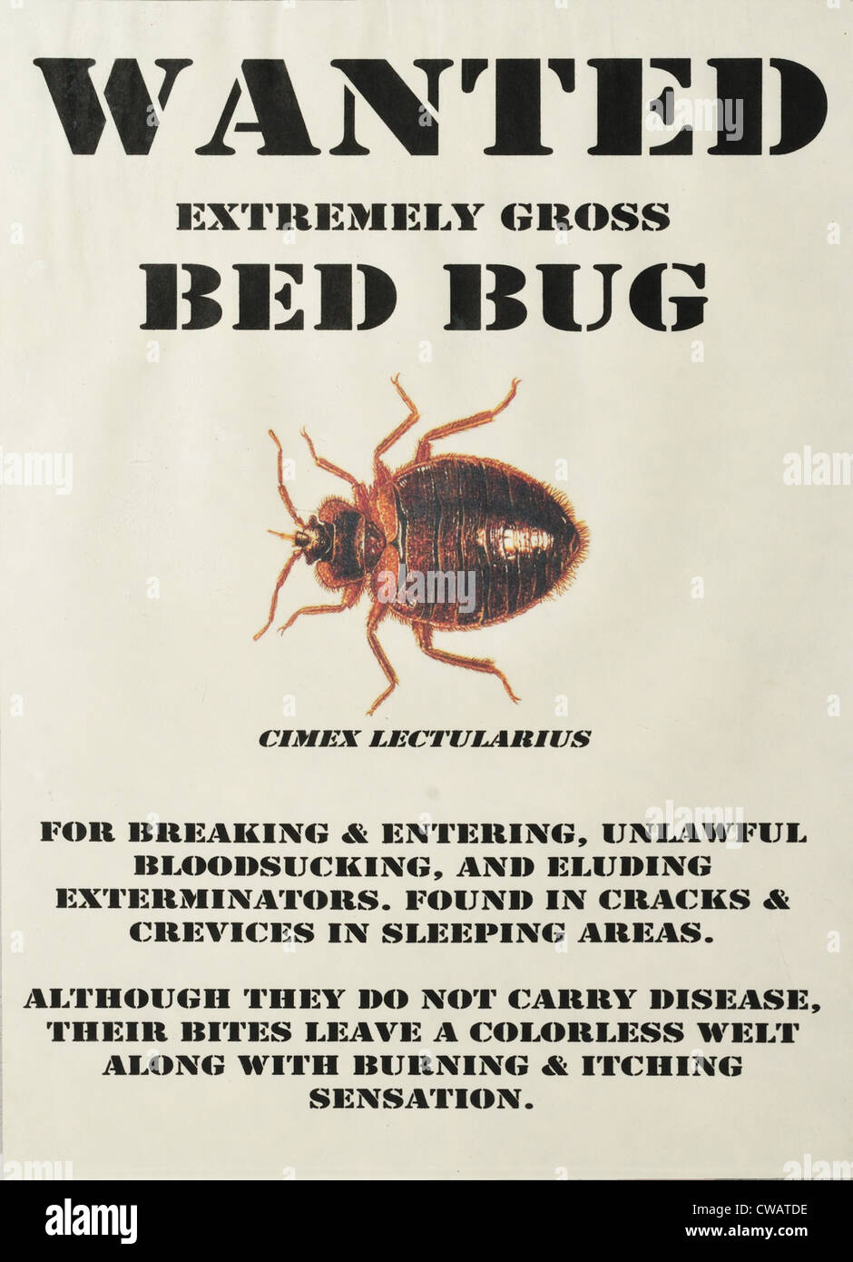 A poster at the insectropolis bug museum in Toms River New Jersey Stock ...