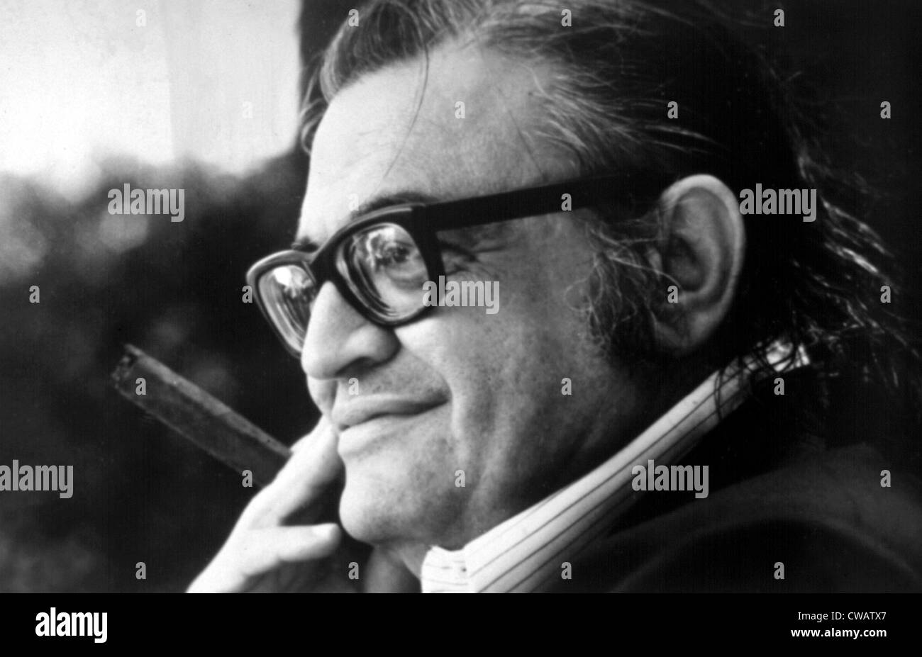 MARIO PUZO. Courtesy: CSU Archives / Everett Collection Stock Photo - Alamy