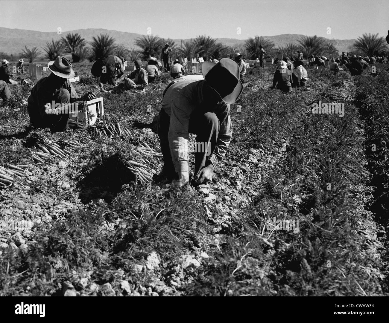 Migrant workers california Black and White Stock Photos & Images - Alamy