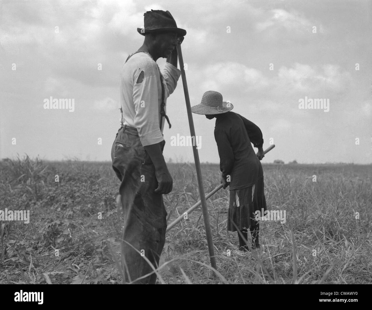 Cotton sharecroppers weeding their small cotton crop in Greene County ...