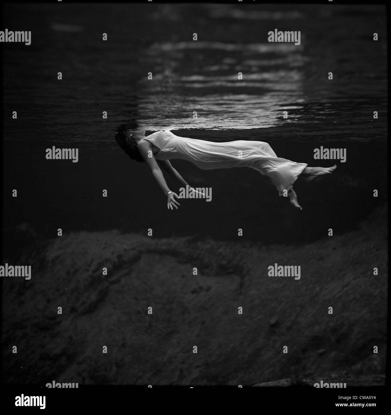 Weeki wachi hi-res stock photography and images - Alamy