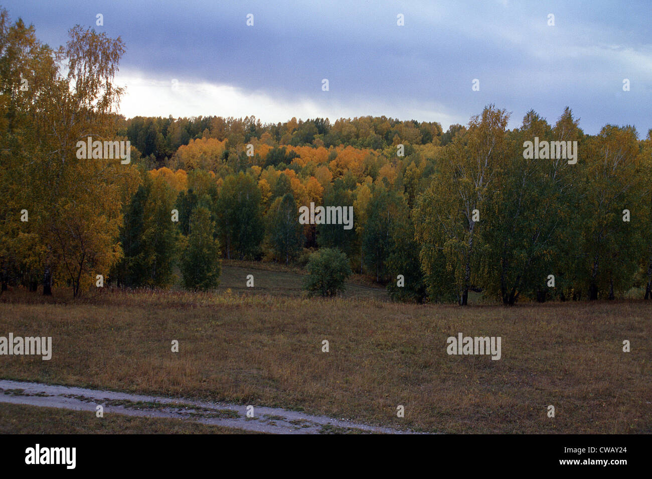 Amanda Brumfield 2022