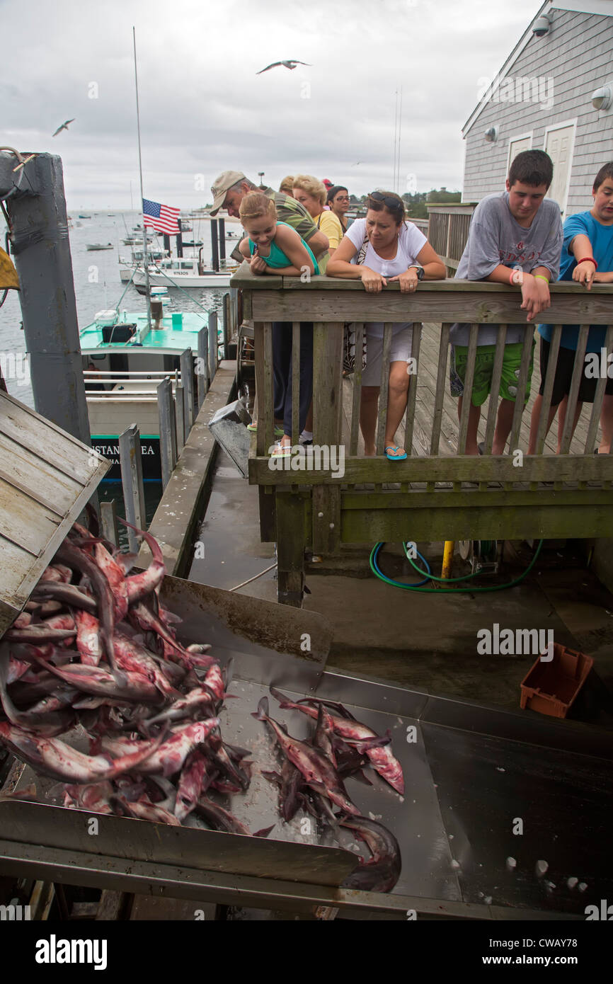 Chatham fishing pier hi-res stock photography and images - Alamy