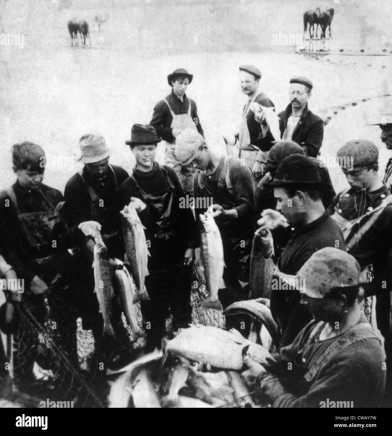 History fish hi-res stock photography and images - Alamy