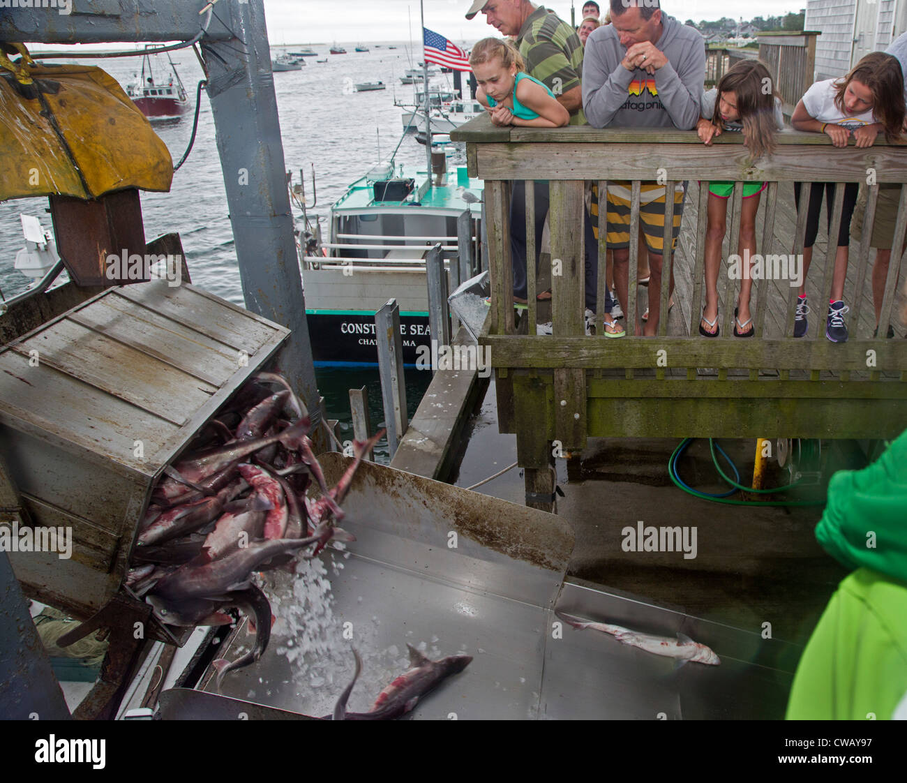 Chatham fish pier hi-res stock photography and images - Alamy