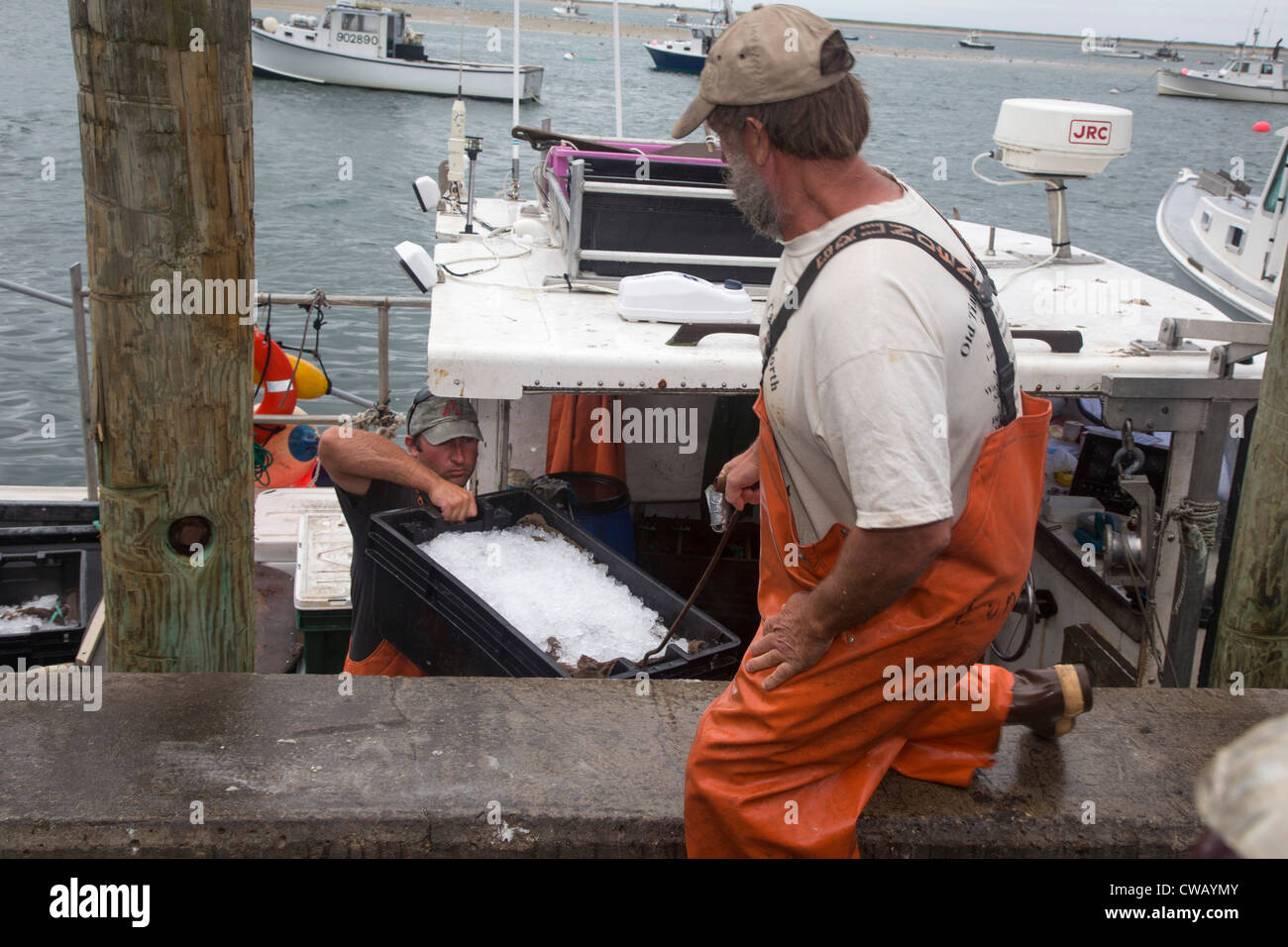 Chatham, Massachusetts - Fishermen unload their catch of lobsters at ...