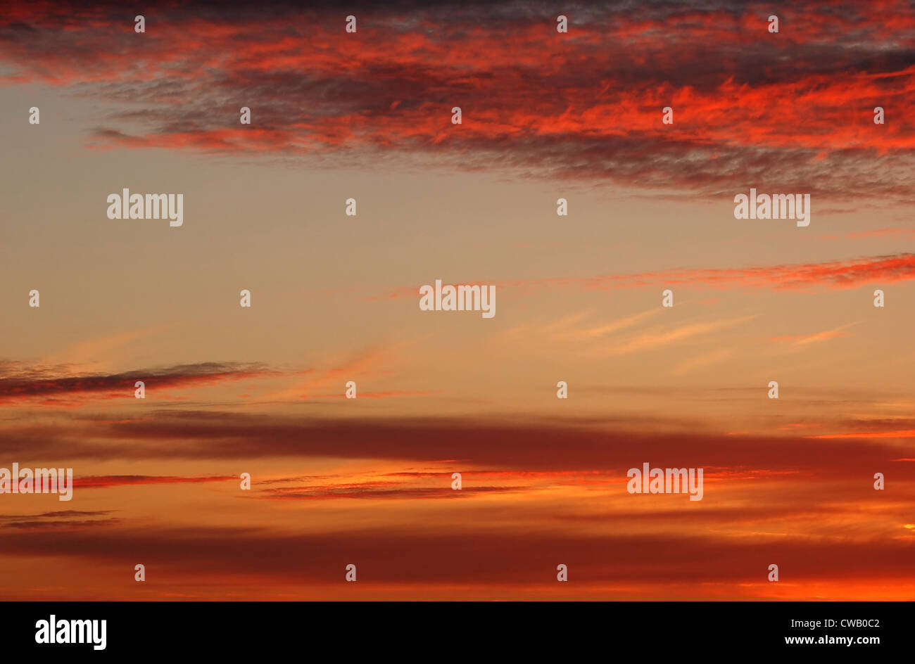 beautiful orange clouds during sunset in sky Stock Photo - Alamy