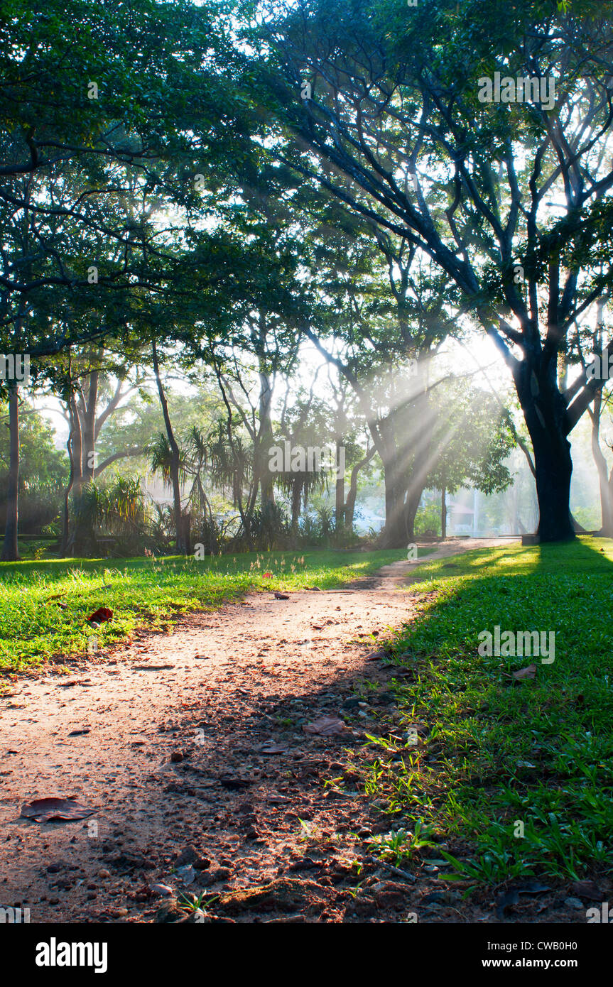 Mystical path hi-res stock photography and images - Alamy