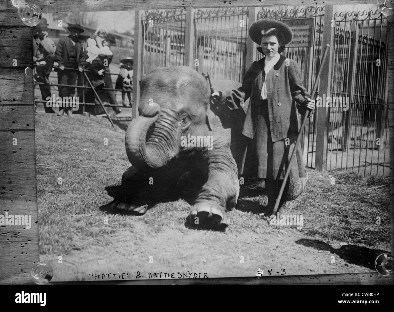 Circus elephant woman hi-res stock photography and images - Alamy
