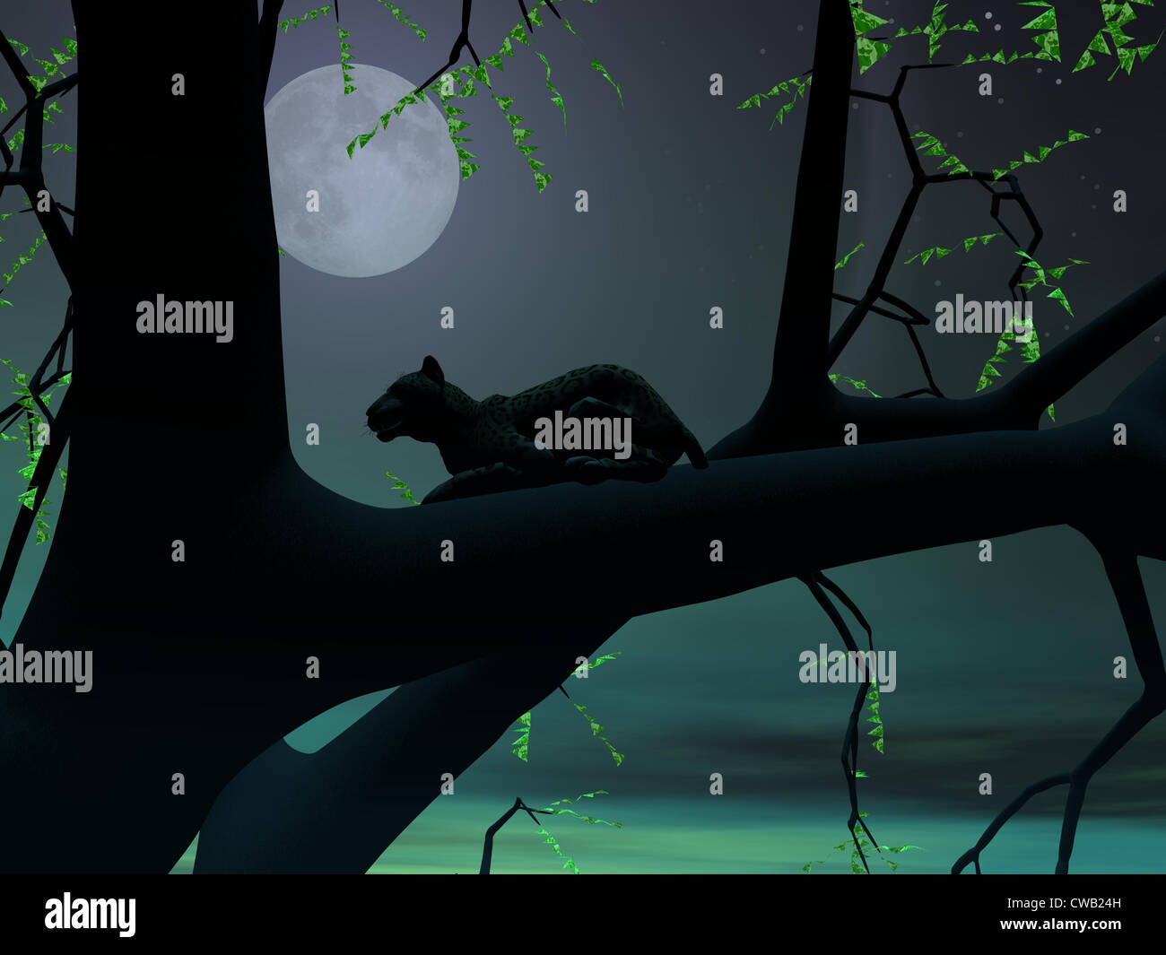 Black panther tree hi-res stock photography and images - Alamy