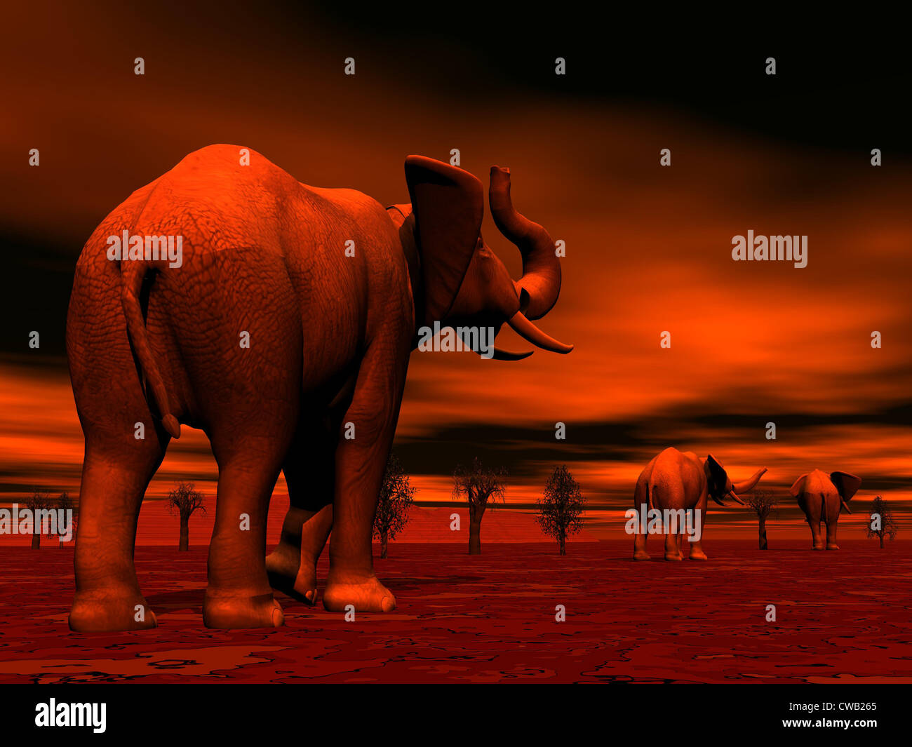 Shadows of three elephants standing between baobabs in the savannah by ...