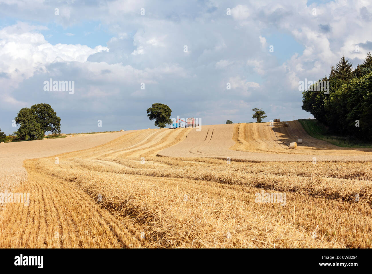 Farmers harvesting their crop while the sun shines in the beautiful ...