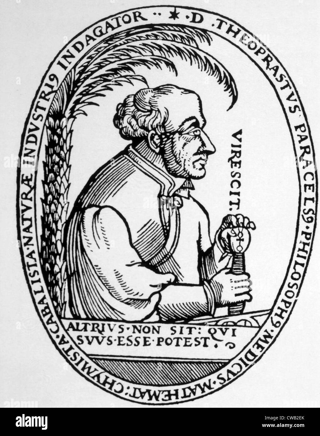 Paracelsus paracelsus hi-res stock photography and images - Alamy