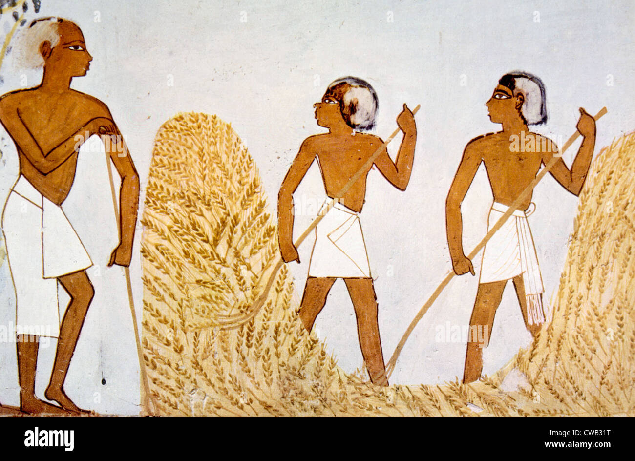 Ancient Egyptian Farmers Ancient Egyptian Farmers