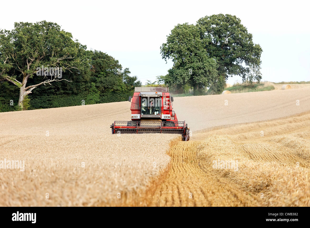 Farmers harvesting their crop while the sun shines in the beautiful ...