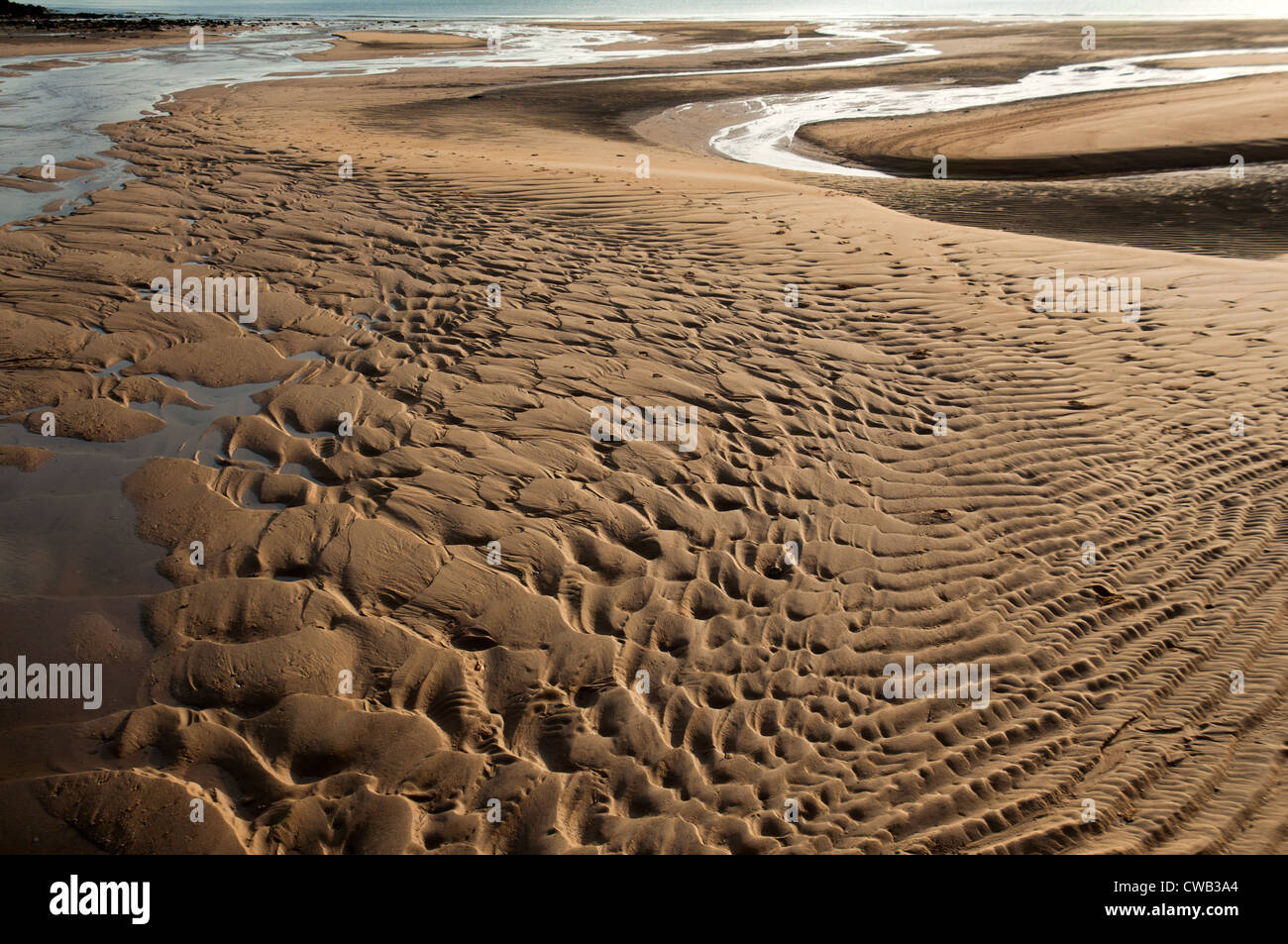 close up view beach sand background Stock Photo - Alamy