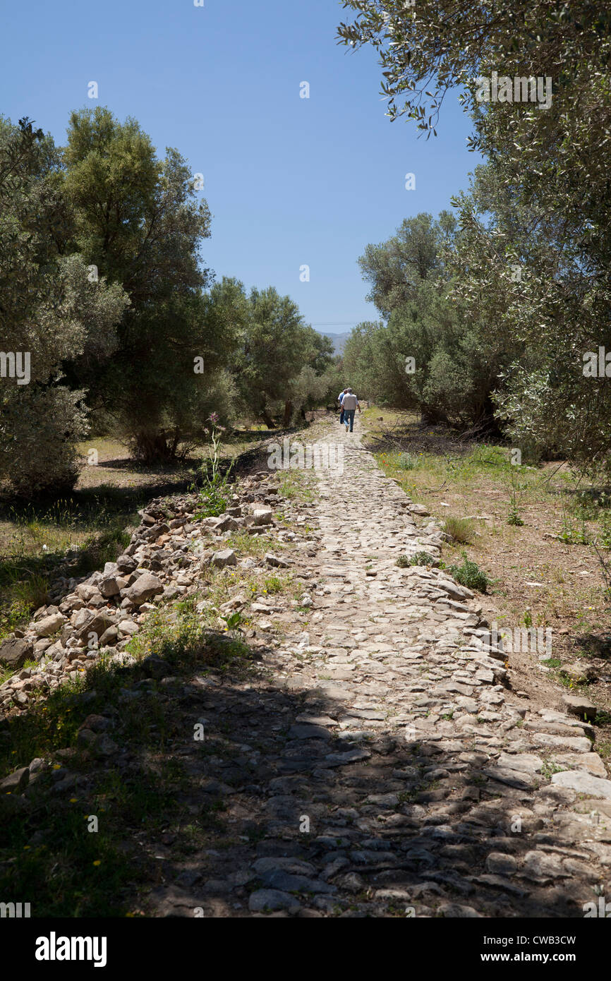 Archaeological site at Gortys, Crete, Greece Stock Photo - Alamy
