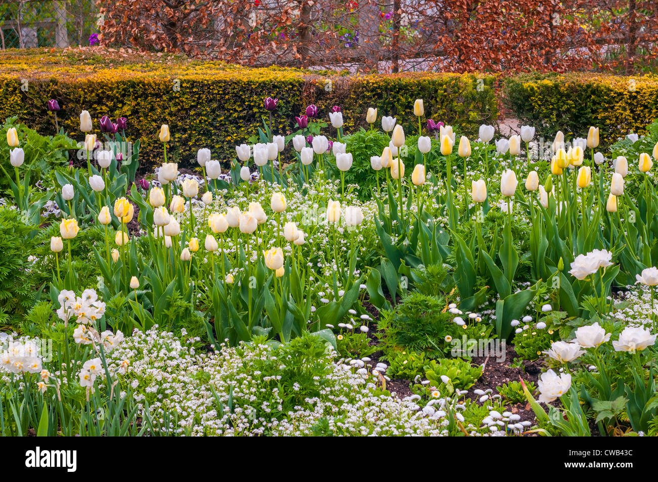 flowers, Giverny, Normandy, France, Eure, Europe Stock Photo - Alamy