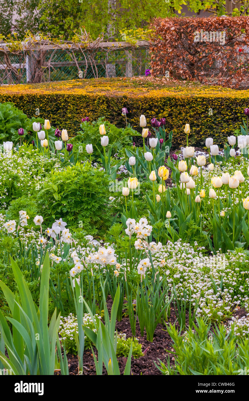 flowers, Giverny, Normandy, France, Eure, Europe Stock Photo - Alamy