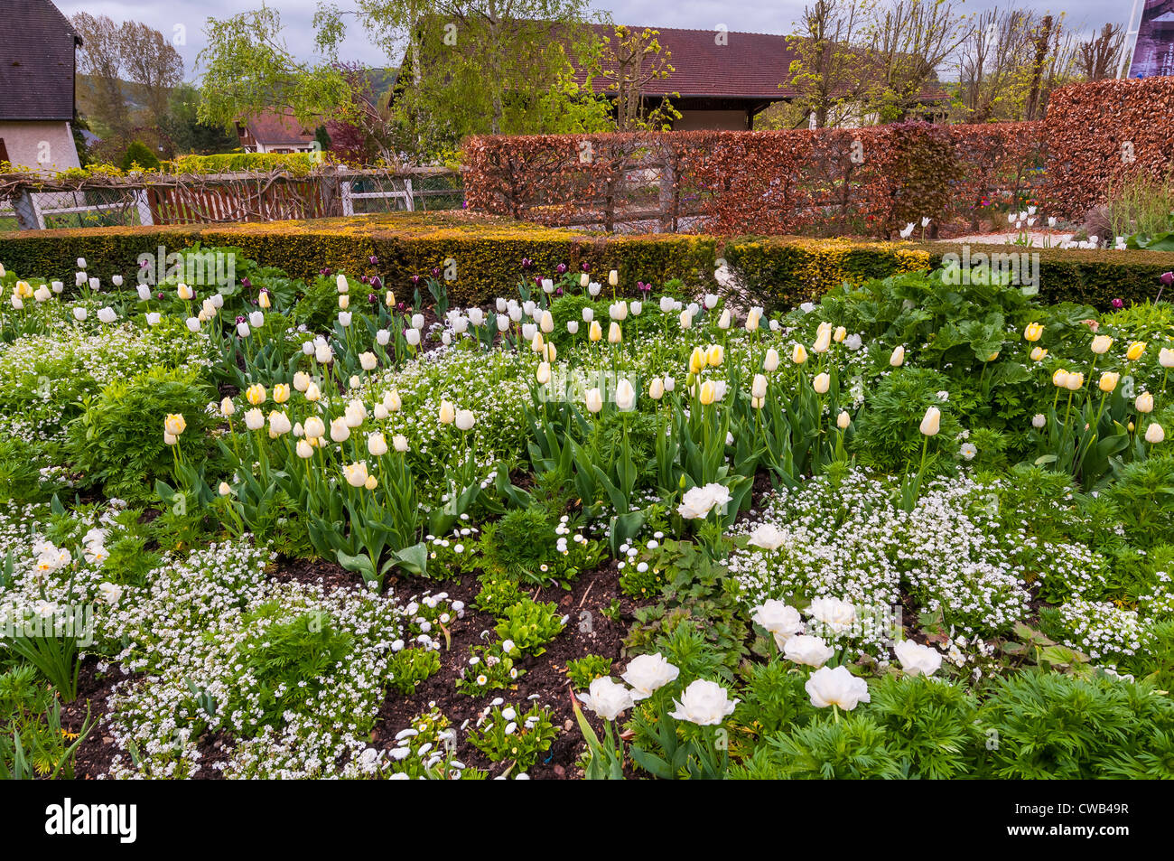 flowers, Giverny, Normandy, France, Eure, Europe Stock Photo - Alamy