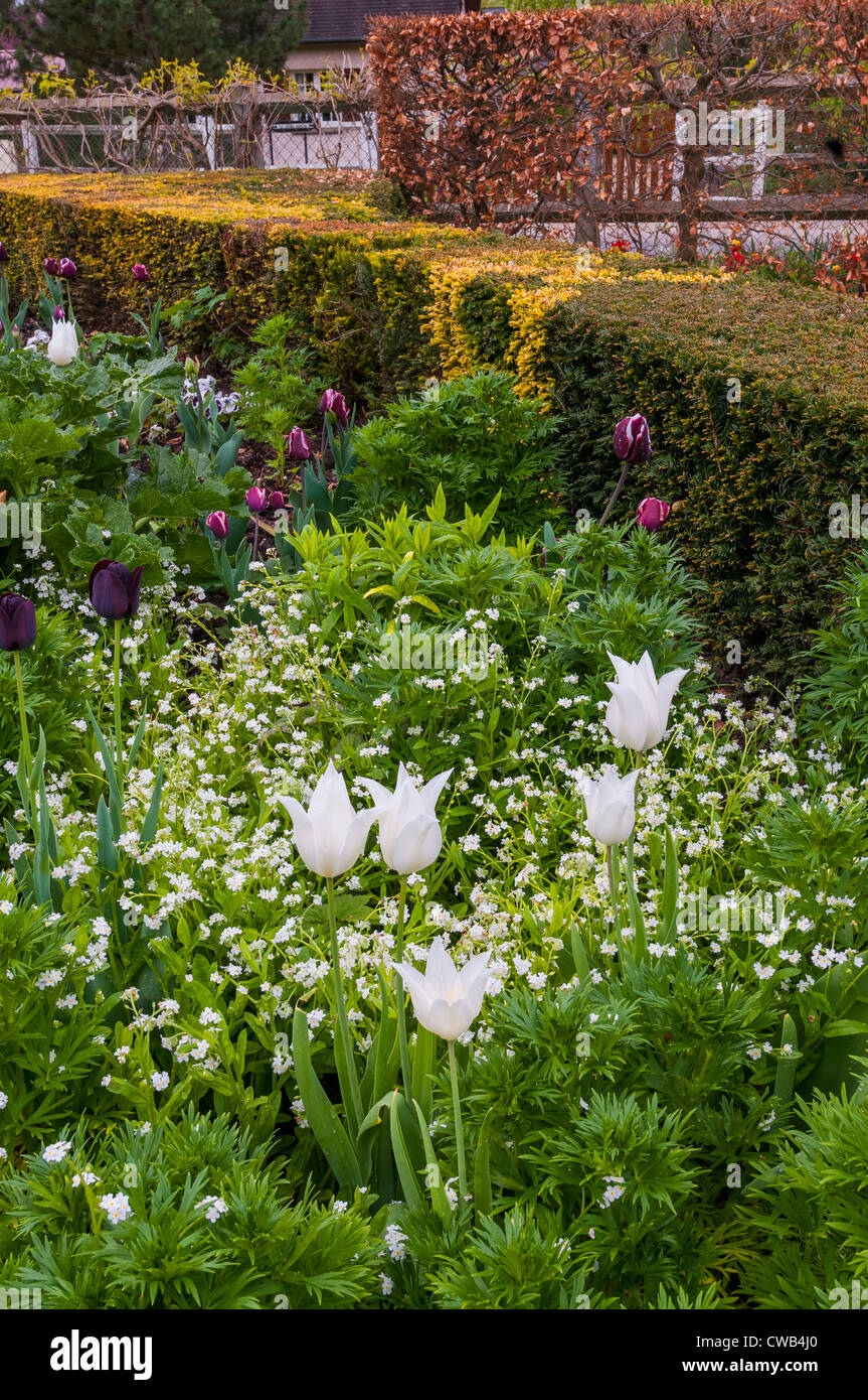 flowers, Giverny, Normandy, France, Eure, Europe Stock Photo - Alamy