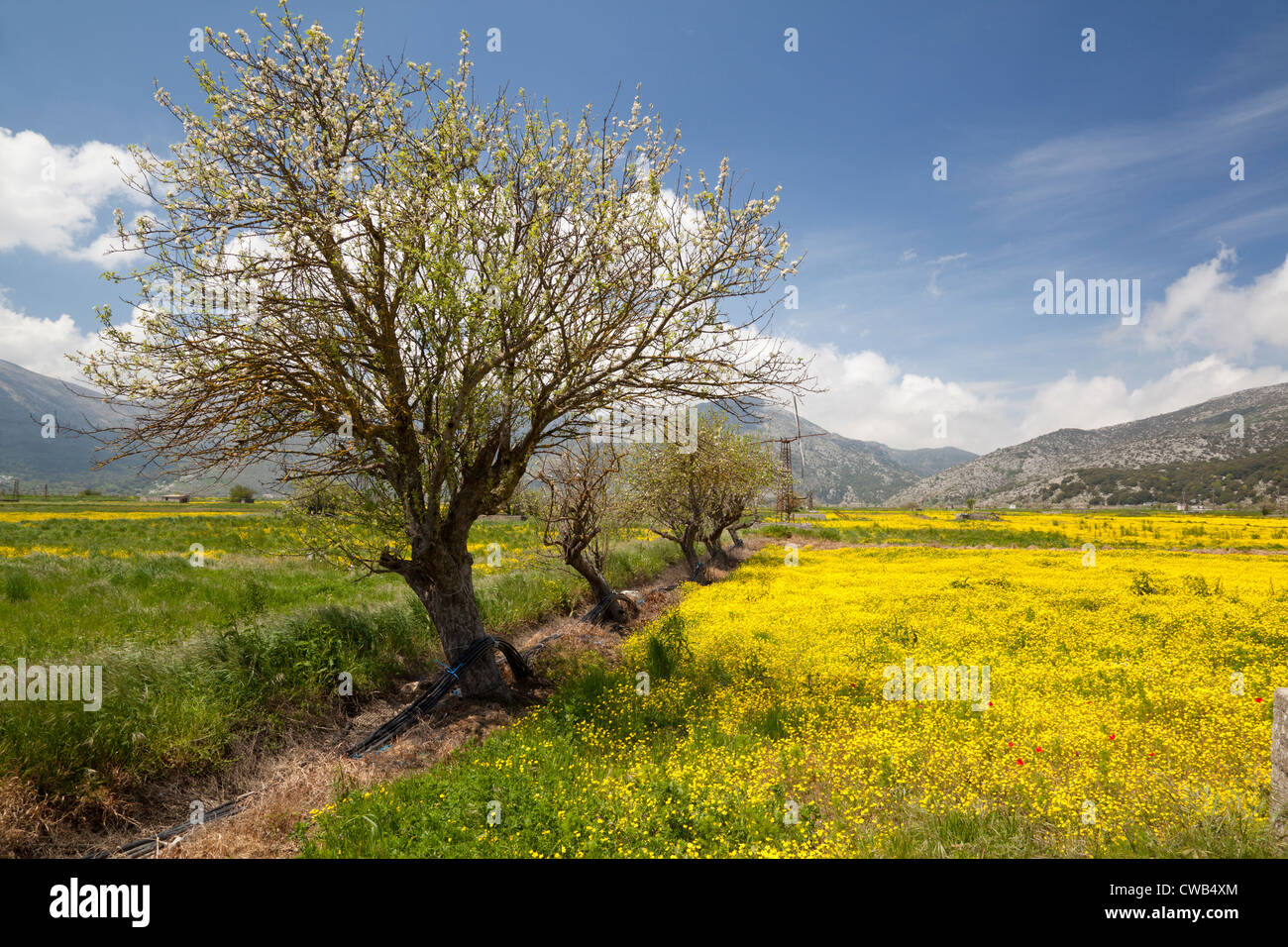 Oropedio Lasithiou or Lasithi Plateau, Crete, Greece Stock Photo - Alamy