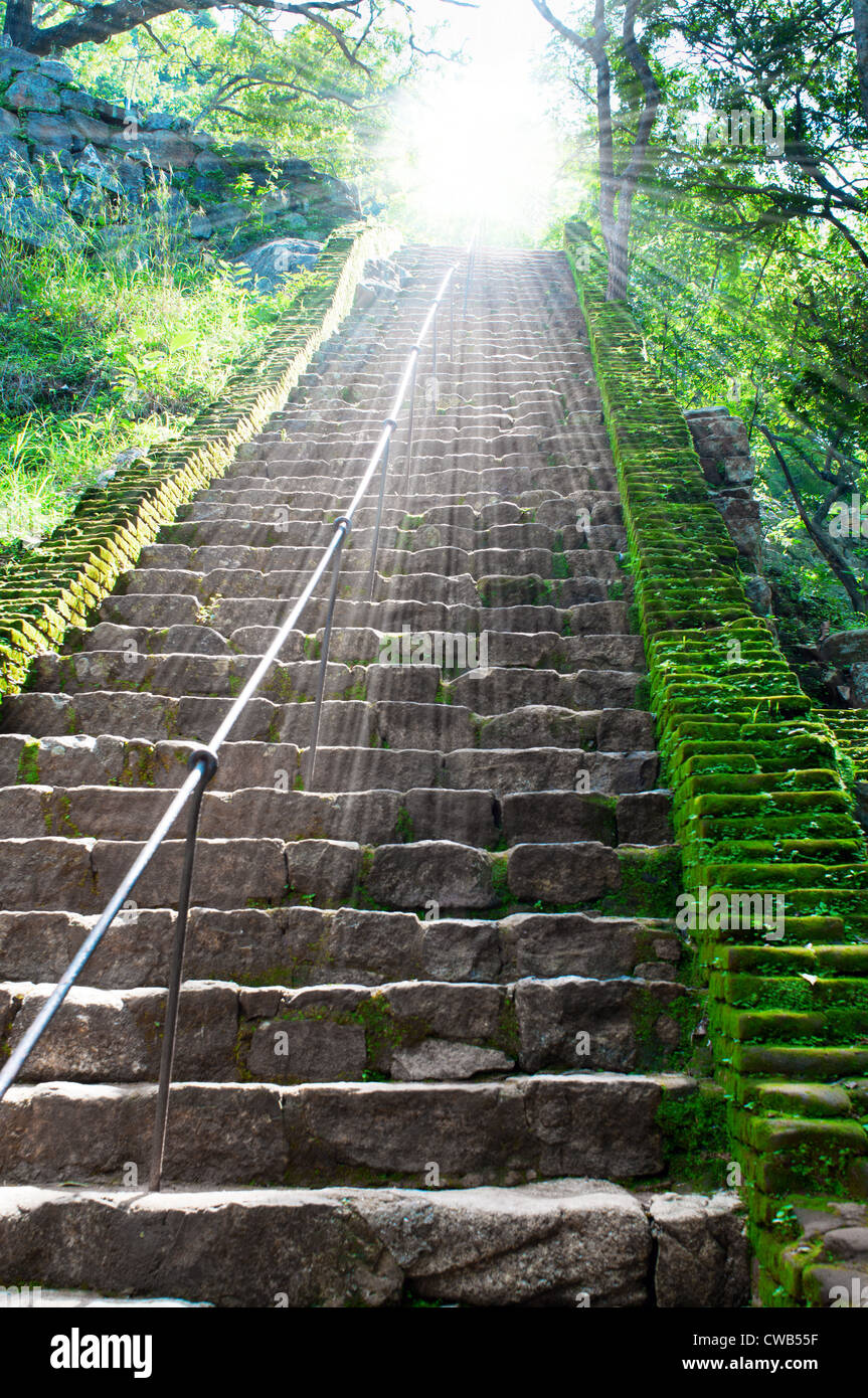 Light on the top of the ancient steps Stock Photo - Alamy