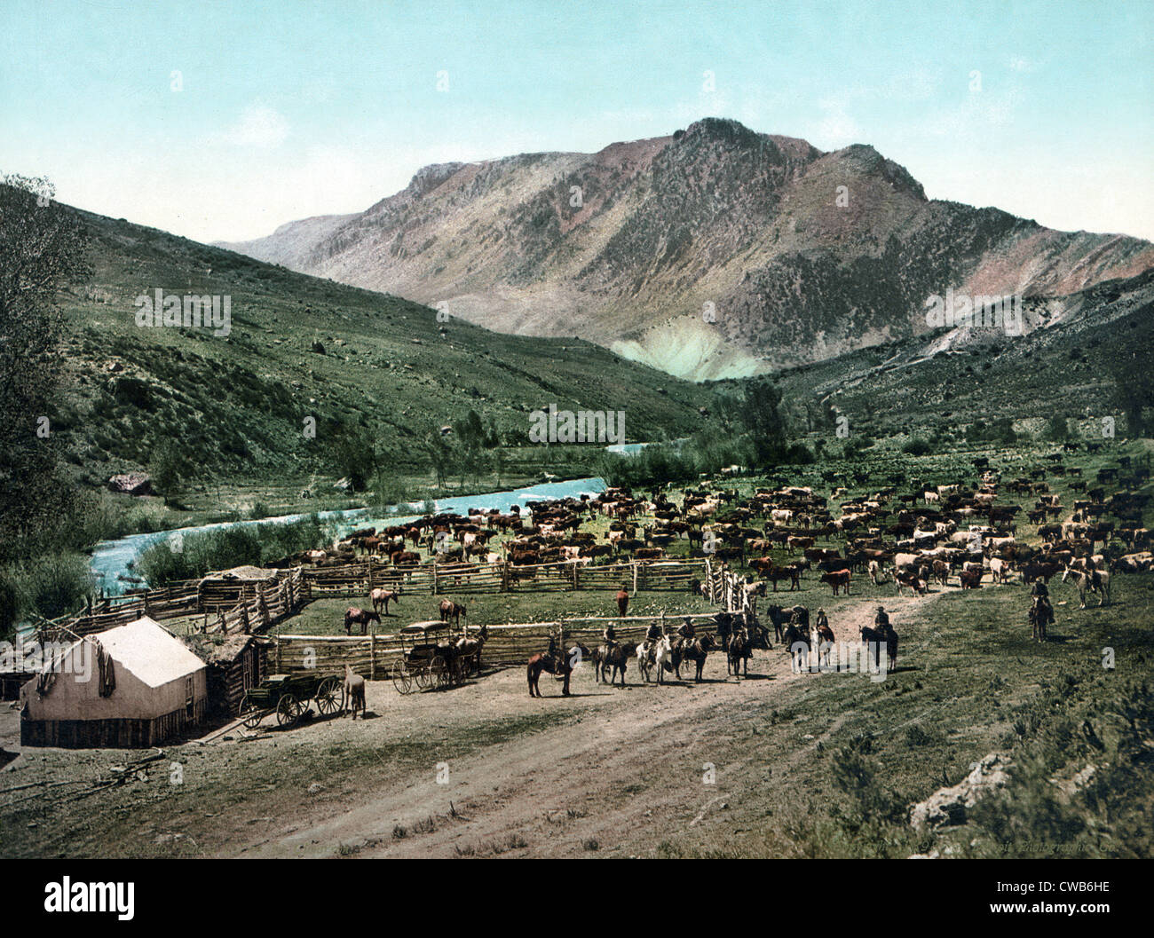 Cattle Ranch 19th Century High Resolution Stock Photography and Images ...
