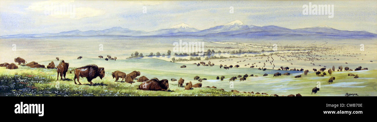 American buffalo painting hi-res stock photography and images - Alamy