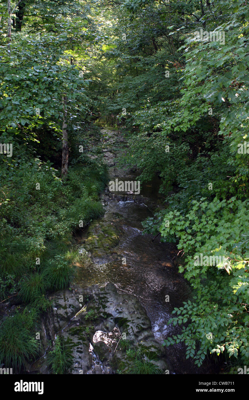 Creek in forest from above in upstate NY Stock Photo - Alamy