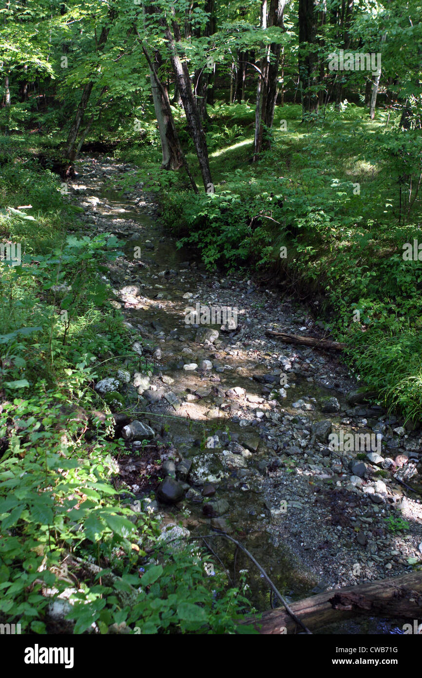 Exposed stream bed hi-res stock photography and images - Alamy