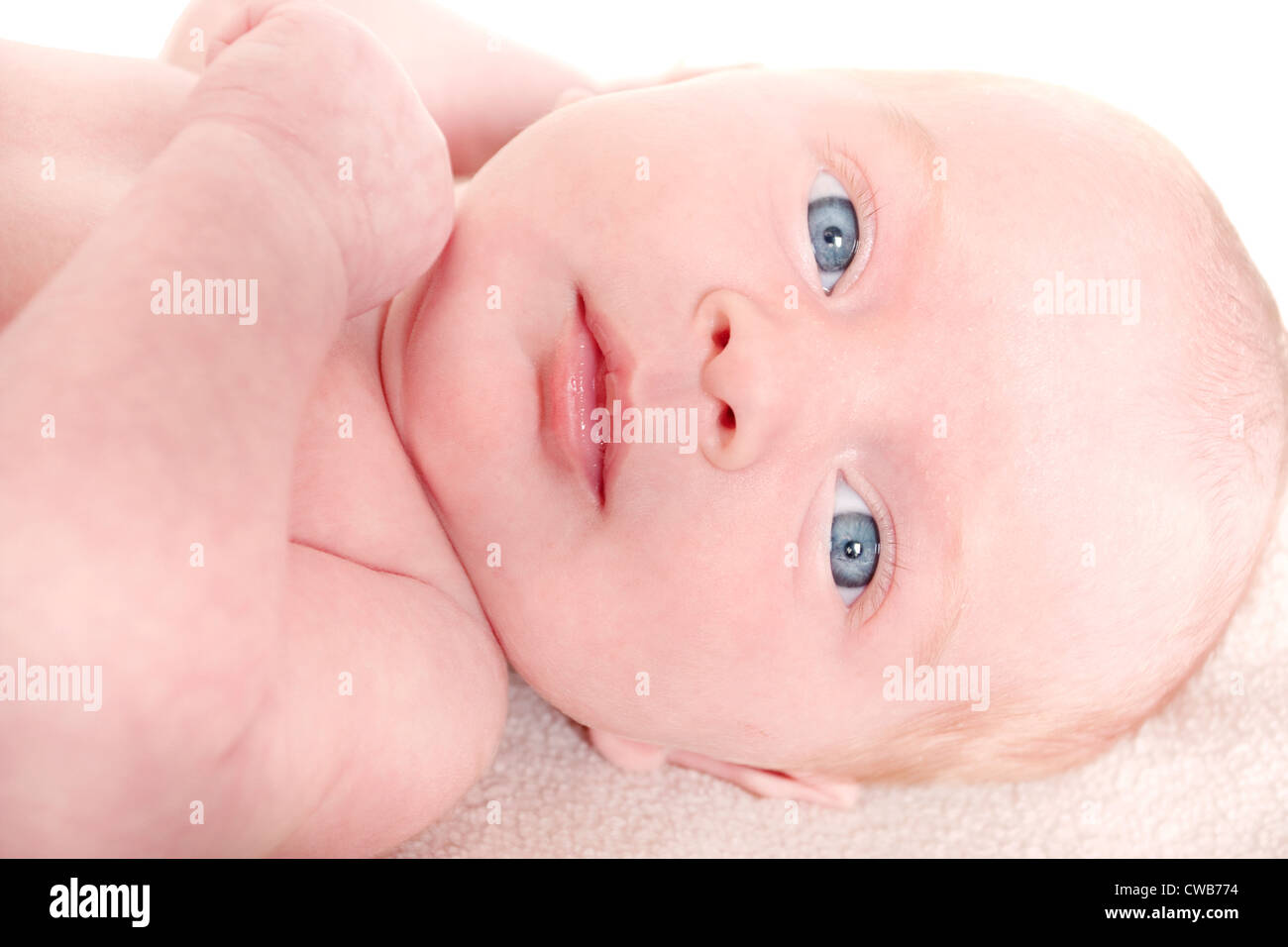 newborn baby girl looking at camera shot in studio with blue eyes Stock ...