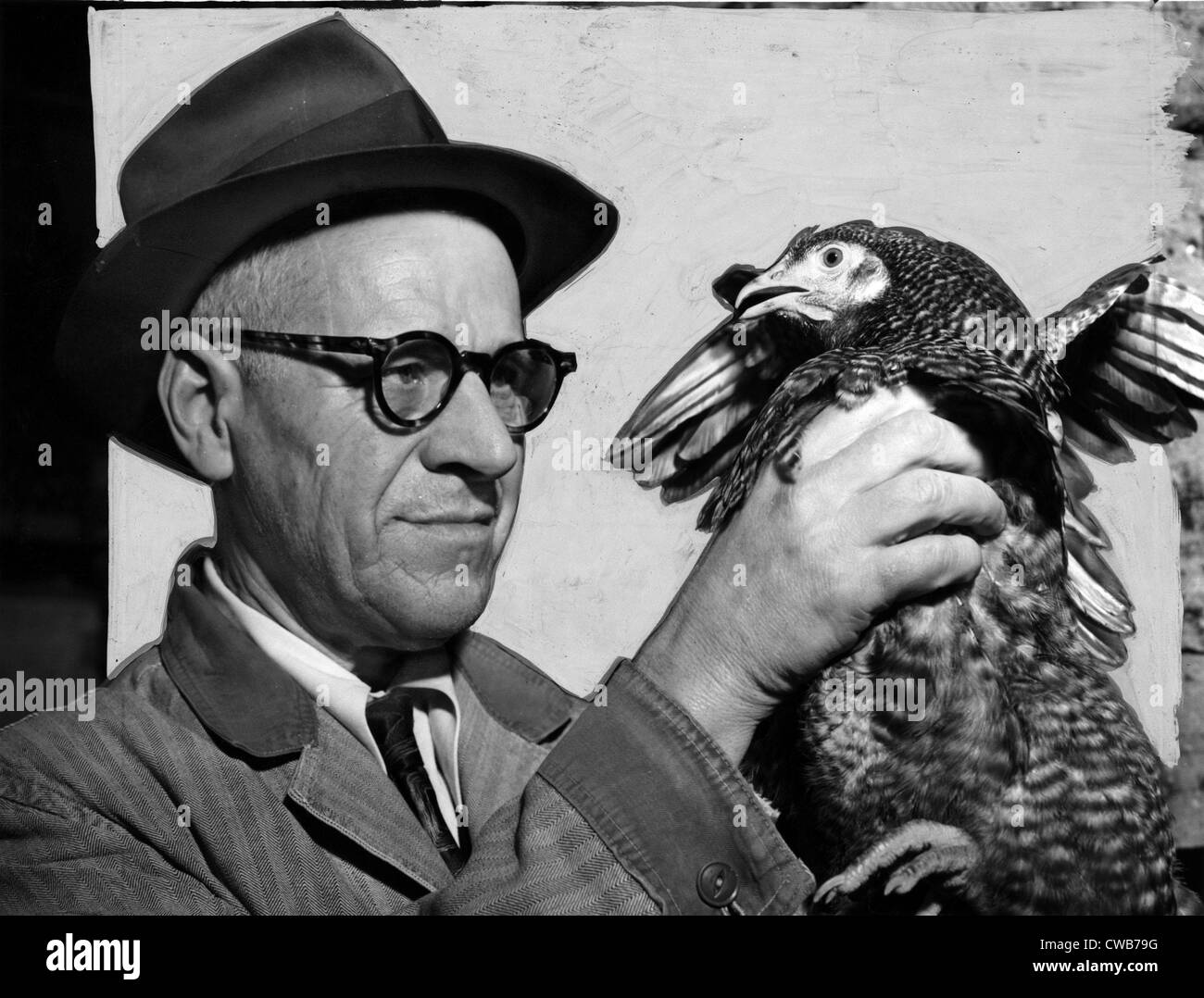 Chicken inspector hi-res stock photography and images - Alamy