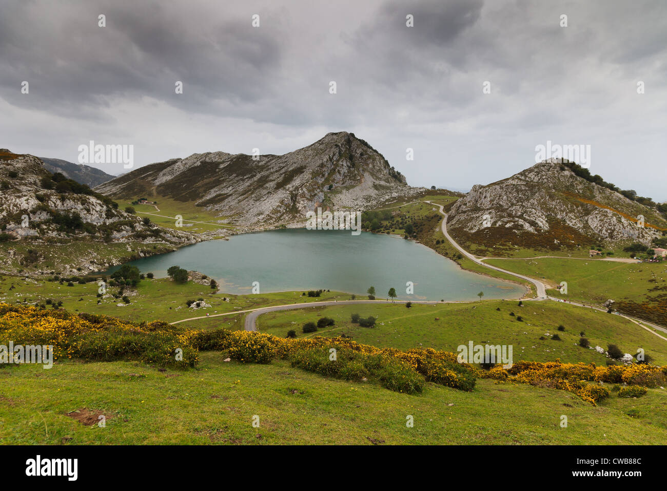 Fantastic lake Enol, one of the famous lakes of Covadonga, Asturias ...