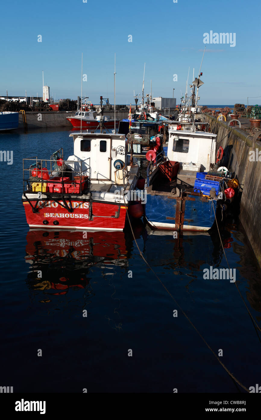 Fishing boats in the harbour, Seahouses, Northumberland UK Stock Photo ...