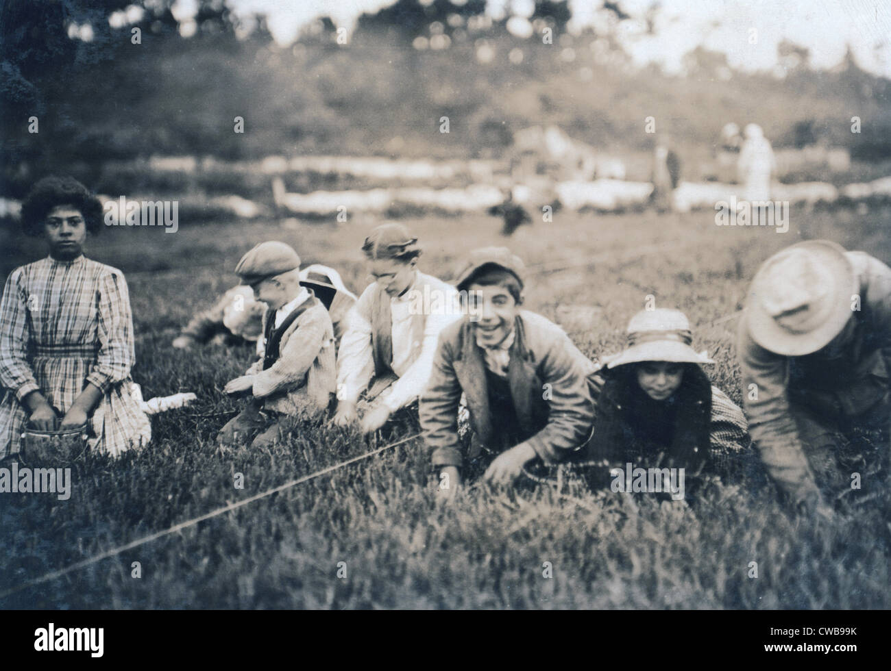 Child labor. Syrian children from Boston and Providence pick ...