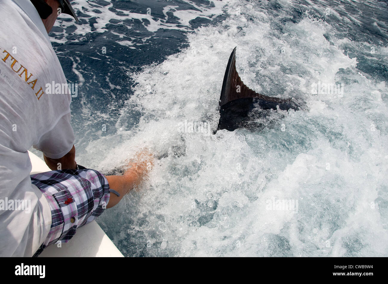 Oxygen release hi-res stock photography and images - Alamy
