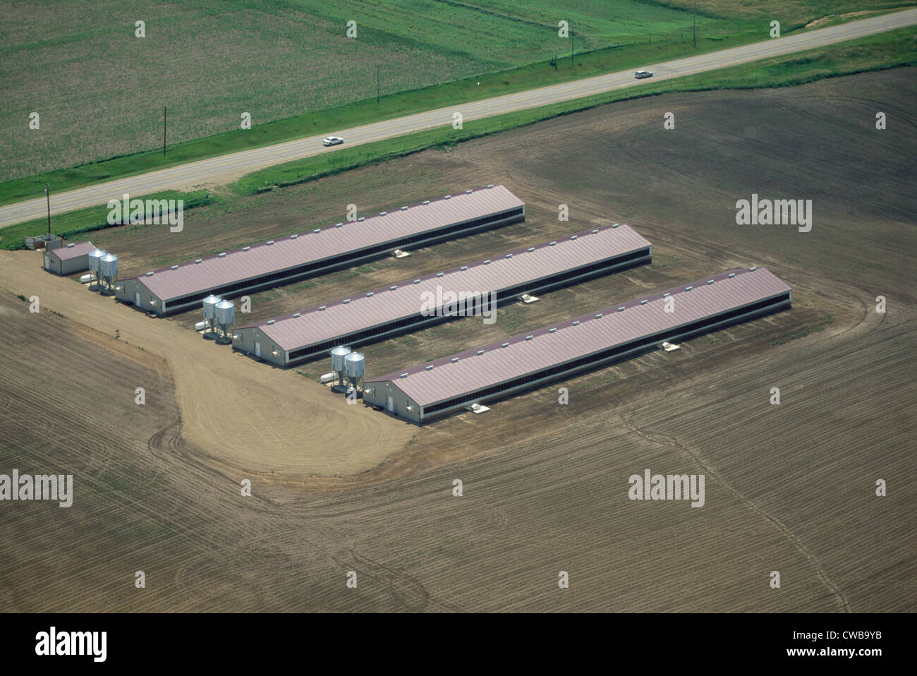 AERIAL VIEW OF LIVESTOCK CONFINEMENT BUILDINGS / IOWA Stock Photo - Alamy