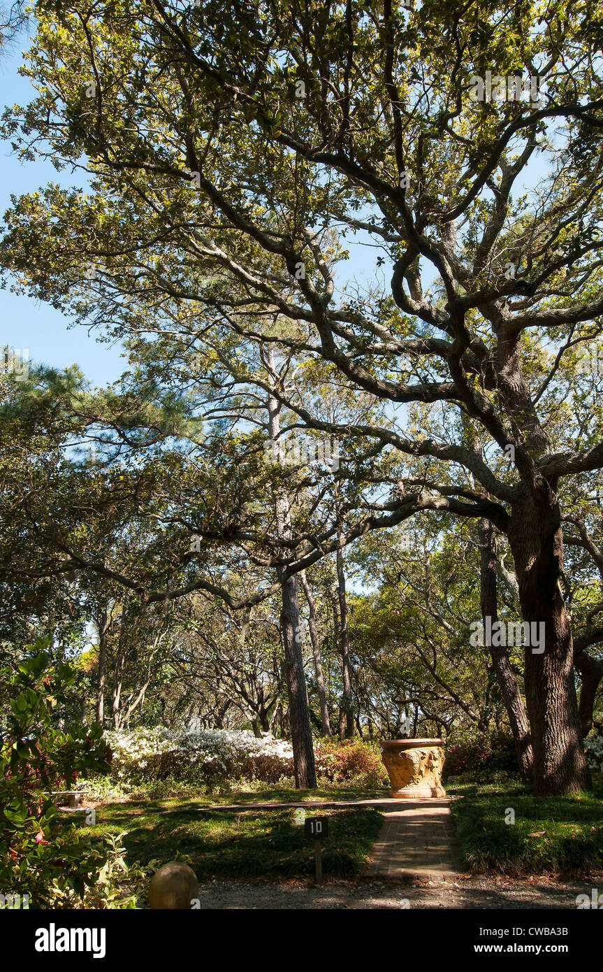 Elizabethan gardens on roanoke island hi-res stock photography and ...