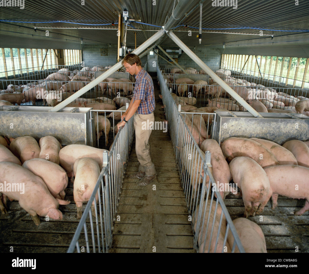 Open sided barn hi-res stock photography and images - Alamy