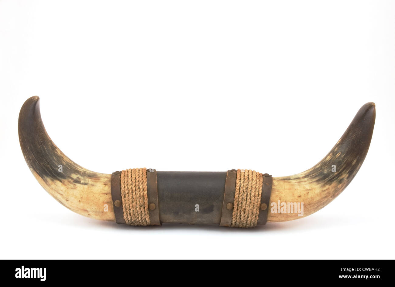 Bone and white decor Cut Out Stock Images & Pictures - Alamy